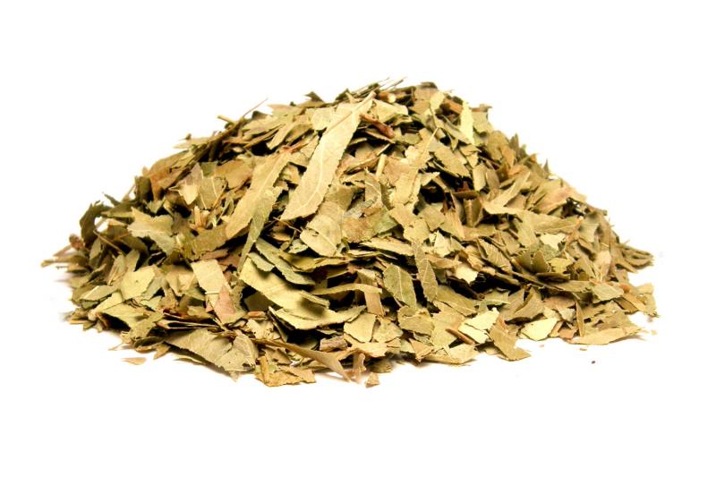 Jasan ztepilý list - Bylík.cz